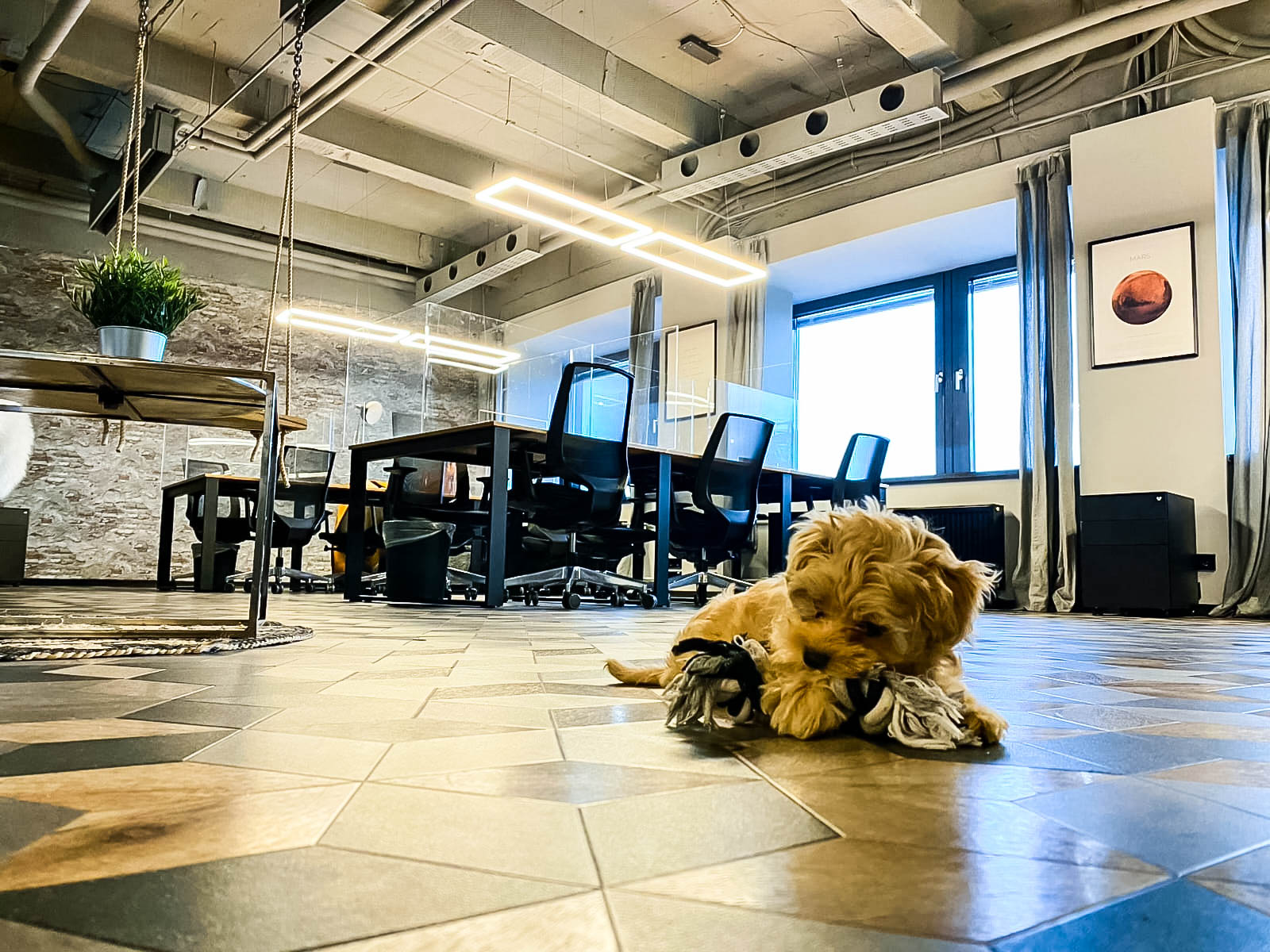 Galerie - Workflow Offices Leipzig